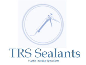 Professional Silicone Man - Mastic Man Gallery